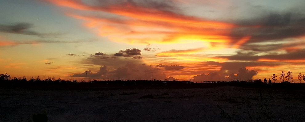 Arden Palm Beach | New Construction in Loxahatchee Florida